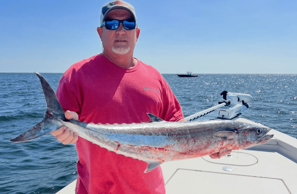 Carolina Traditions Fishing Charters Offers Nearshore Fishing Charters ...